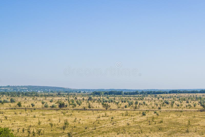 A Field in Which Nothing Grows, Except Trees. in the Distance You Can ...