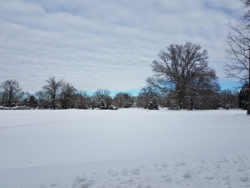 Field with White Snow and Trees in Winter Stock Image - Image of ...