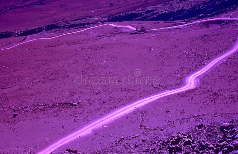 Field of Wildflowers, Spring Flowers, Infrared Infrared Stock ...