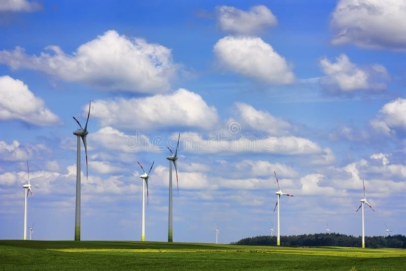 Field of wind power stock photo. Image of scene, horizontal - 11604344