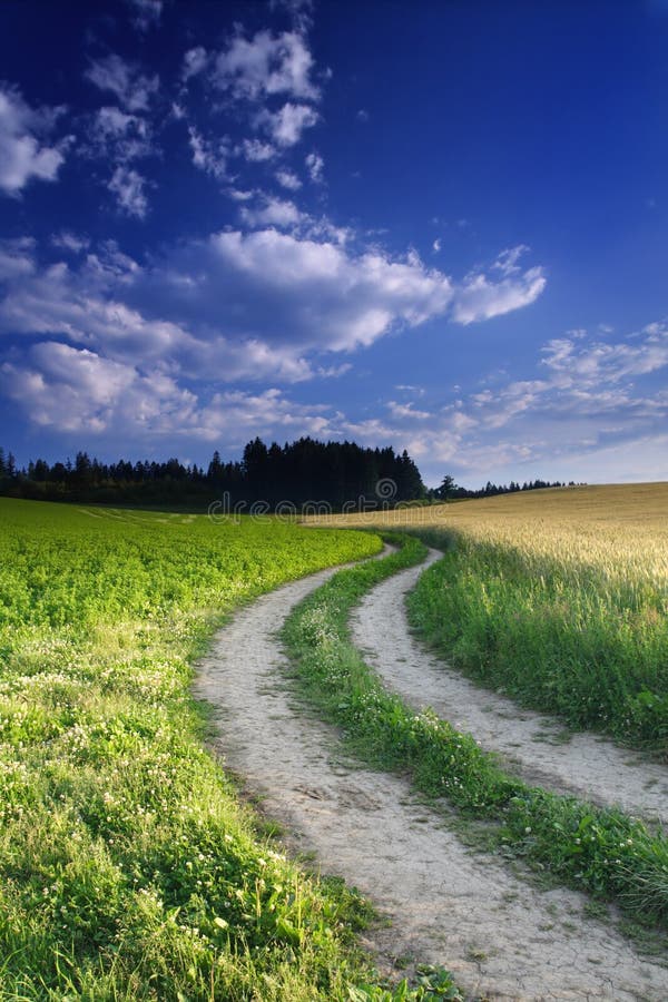 Field Winding Way stock image. Image of jaunt, nature - 2633839