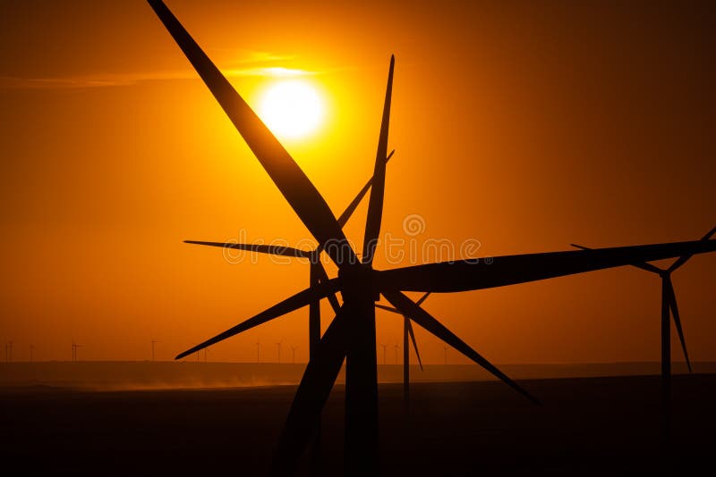 Field of Windmill during a Beautiful Sunset Source of Green Energy ...