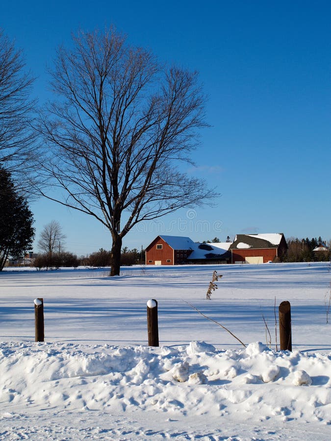 Field in winter stock photo. Image of scene, seasonal - 5878458