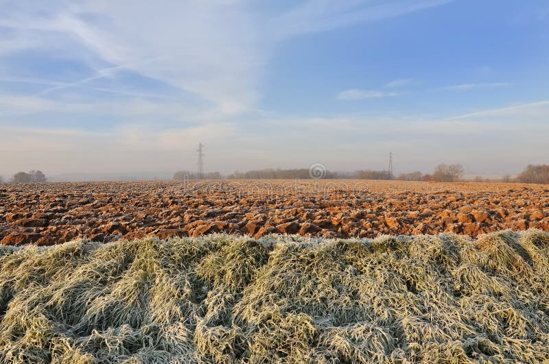 Field in winter stock image. Image of farm, frost, plowed - 36458599