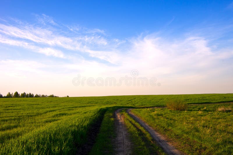 Field with Winter Crops. Spring. Stock Image - Image of landscapes ...