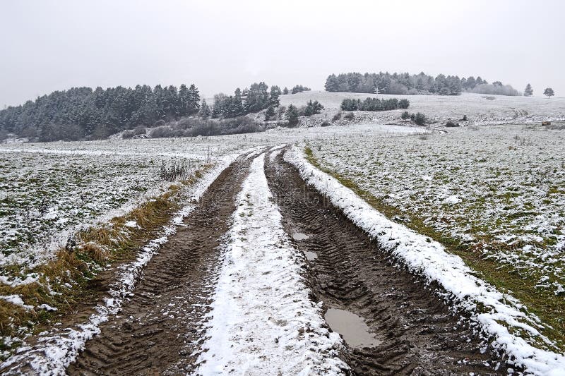 Field in winter stock photo. Image of trees, road, flora - 48261364