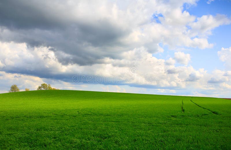 Field in Wisconsin stock photo. Image of season, green - 7565470