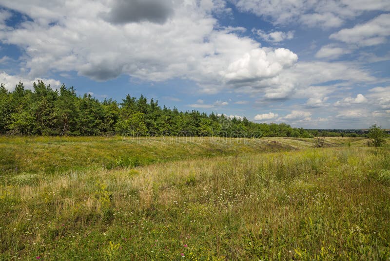 Field and wood stock photo. Image of landscape, background - 90732608
