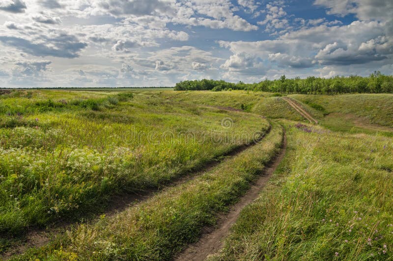 Field and wood stock photo. Image of long, landscape - 16545412