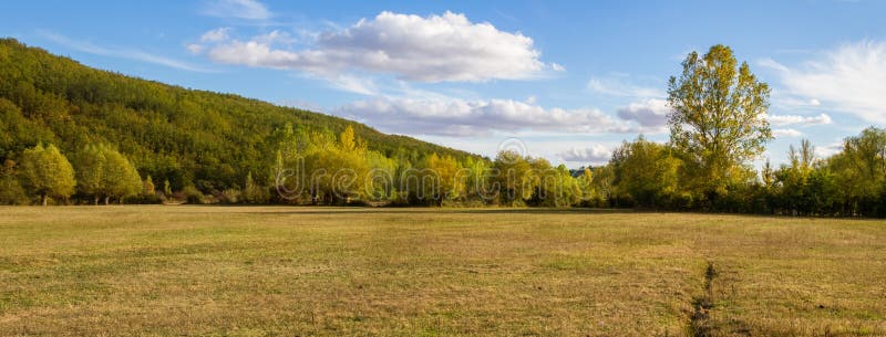 Field and woods panorama stock photo. Image of rural - 31993450