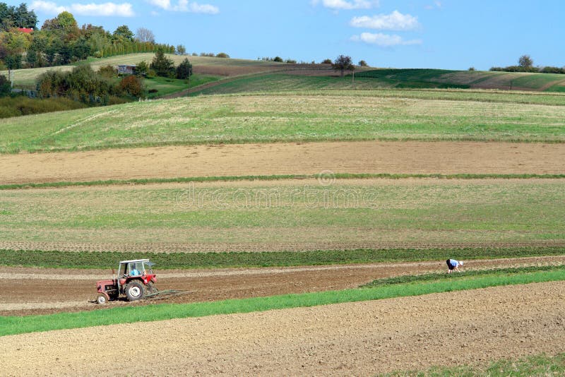 Farm tractor stock photo. Image of work, season, countryside - 2398332