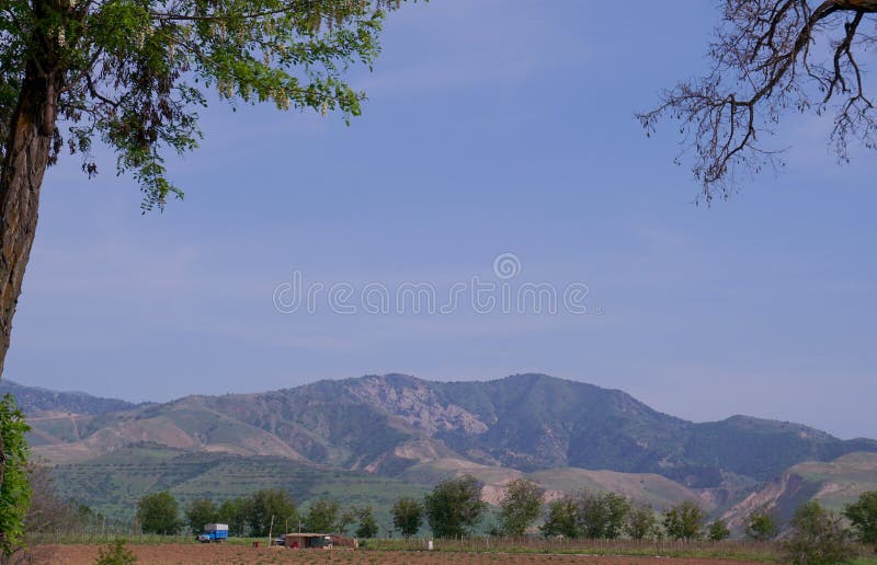 Field Work Has Begun in the Field Stock Image - Image of contemplation ...