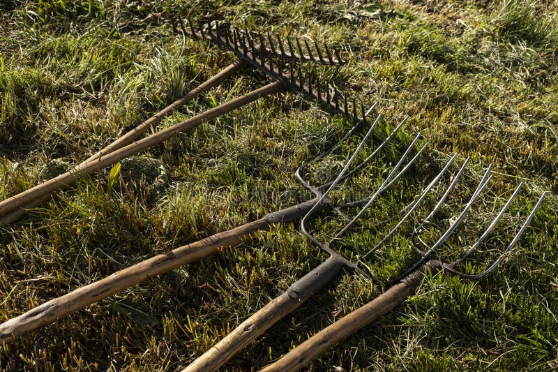 Field Work Tool Set of Rakes and Sweepers Stock Image - Image of ...