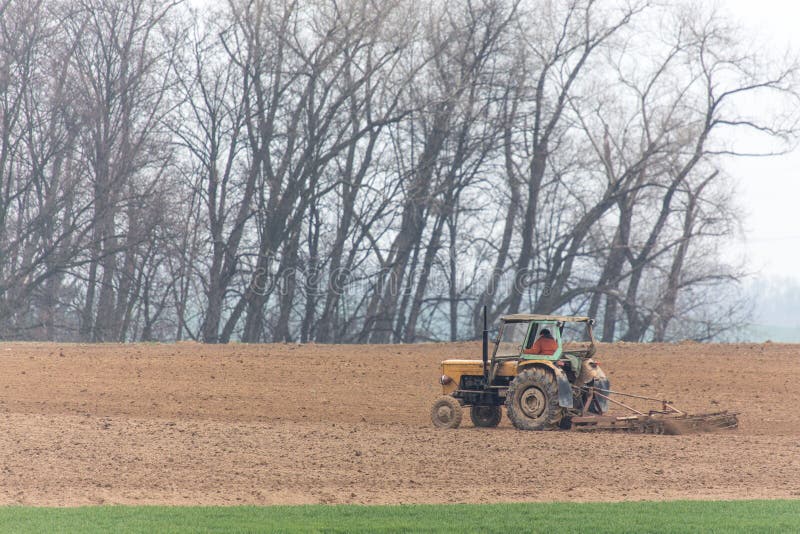 Field works stock image. Image of crop, harvesting, cultivated - 52317147