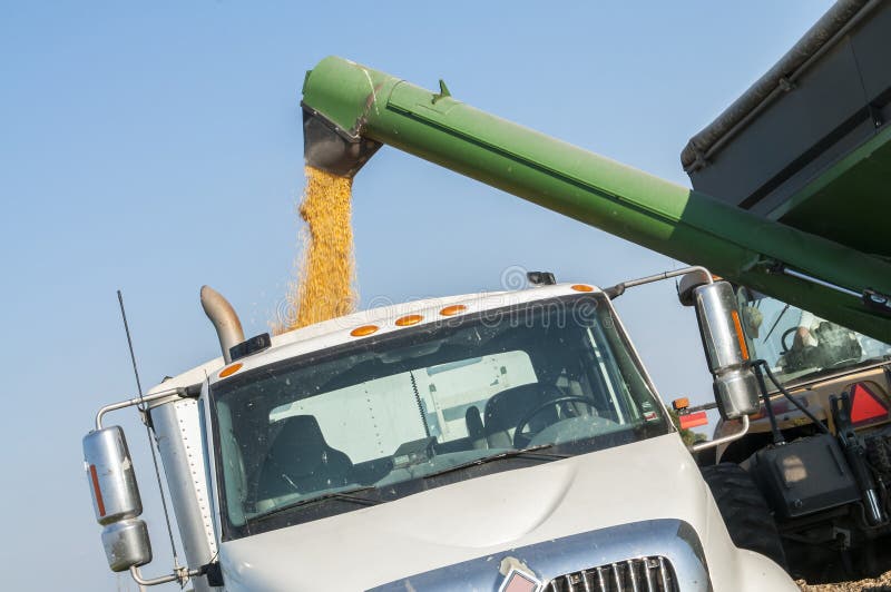 Truck Hauling Corn Stock Photos - Free & Royalty-Free Stock Photos from ...