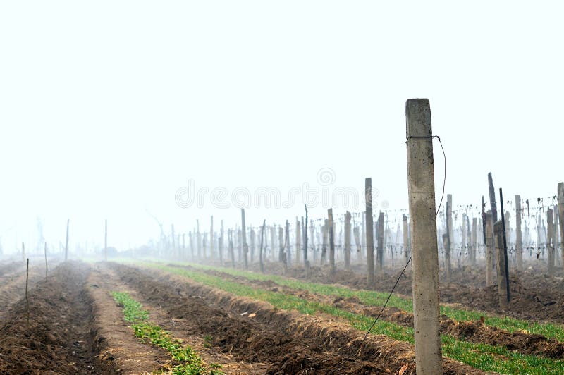 5,493 Desolate Field Photos - Free & Royalty-Free Stock Photos from ...