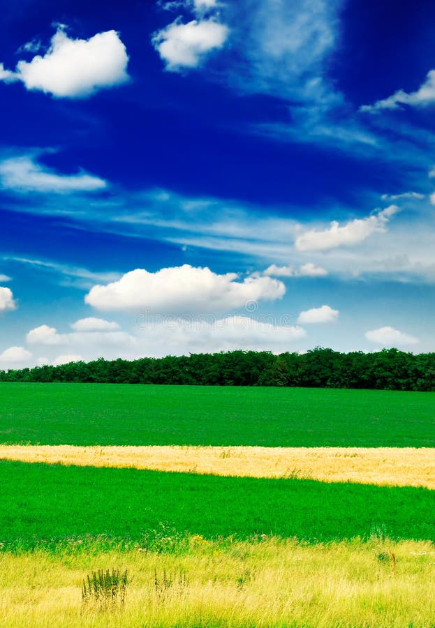 Distant farm stock photo. Image of agriculture, house - 4433308