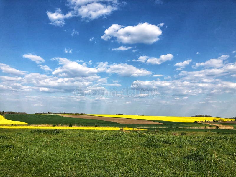 Fields stock image. Image of fruits, colors, amazing - 154670687