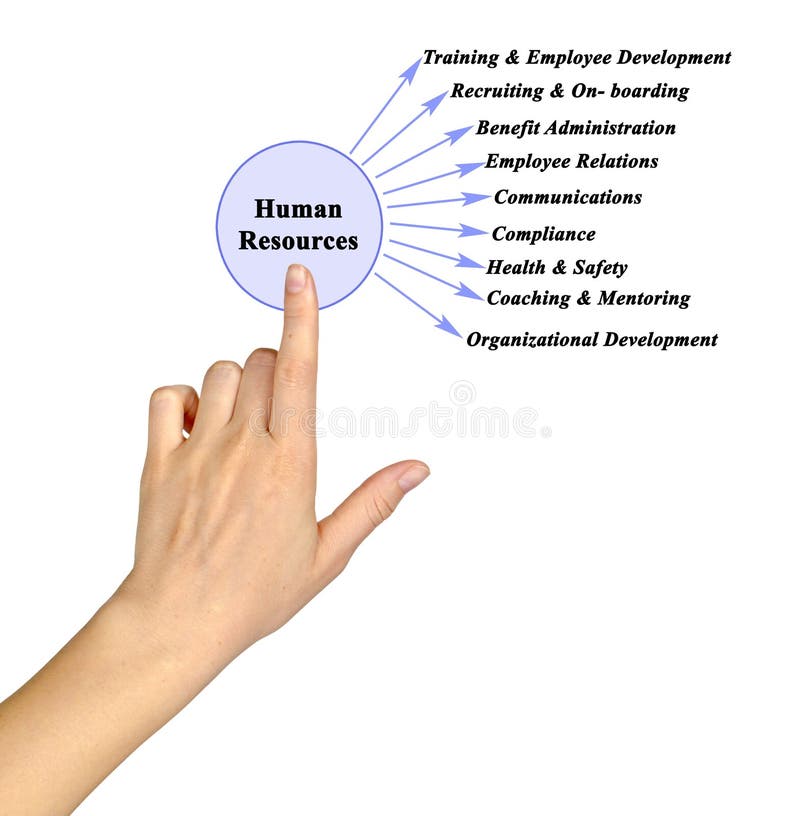 Fields of Attention of Human Resources Stock Image - Image of diagram ...