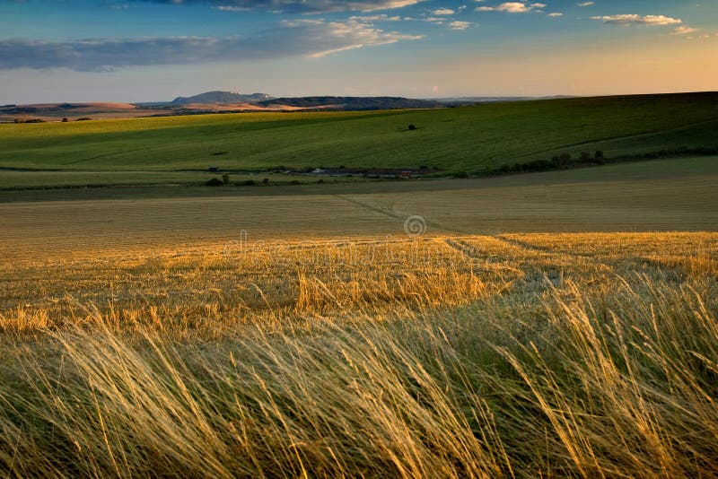 1,068,152 August Stock Photos - Free & Royalty-Free Stock Photos from ...