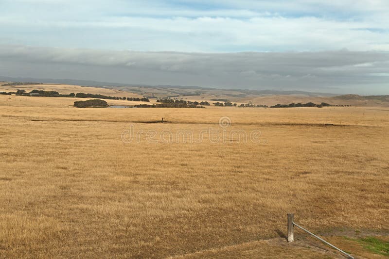 Fields of Australian Agricultural Landscape Stock Photo - Image of ...