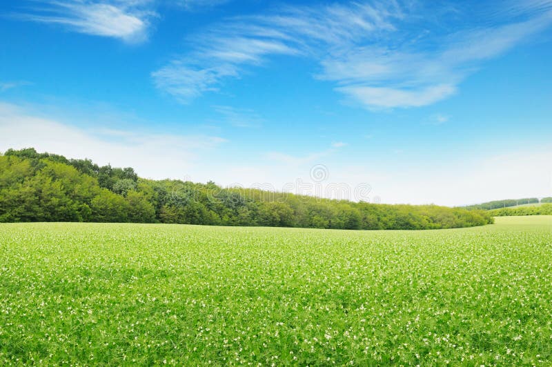 Fields and Beautiful Clouds Stock Photo - Image of horizon, plain: 34948818