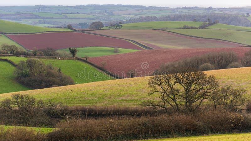 Fields of Berry Pomeroy Village in Devon, England Stock Photo - Image ...