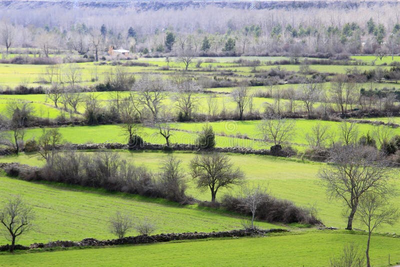 Fields in Biescas (Huesca) - Aragon Stock Image - Image of green ...