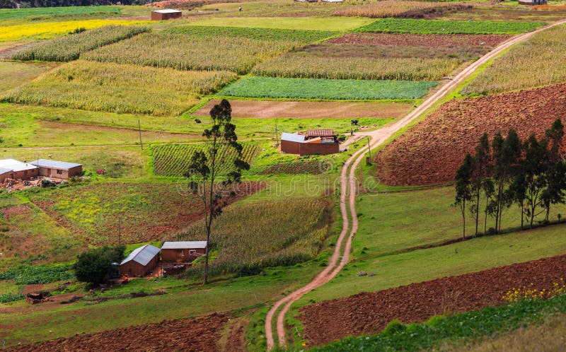 Fields in Bolivia stock photo. Image of agriculture, grass - 54170008