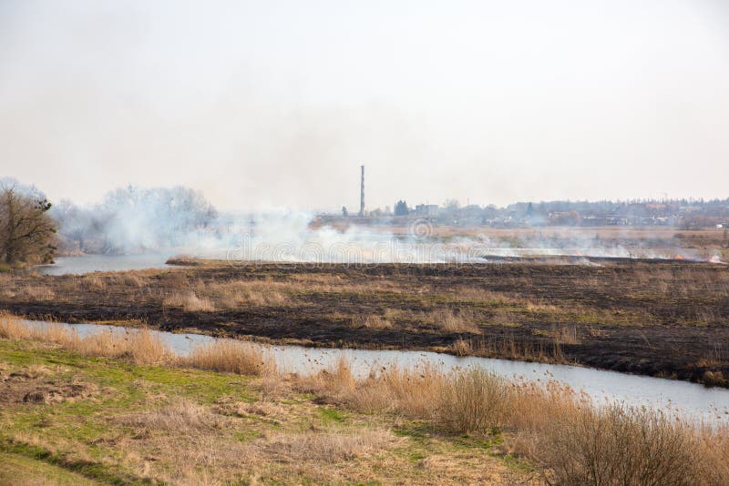 Fields are Burning. Pollution of Air with Smoke. Harmful for ...
