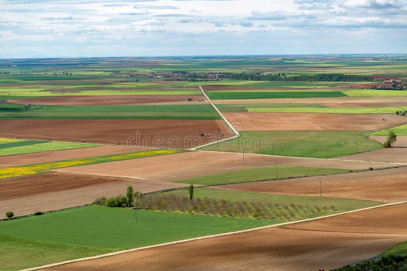 Flat field in spring stock image. Image of field, fresh - 176734739