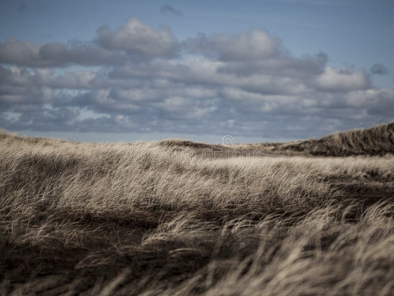 Cloudy Warm Field Windy Weather Stock Photos - Free & Royalty-Free ...