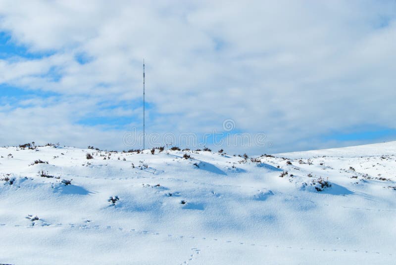 Fields covered by snow stock photo. Image of thick, white - 30358666