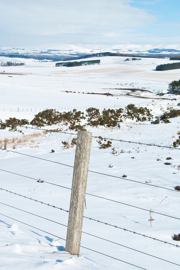 Fields covered by snow stock image. Image of nature, scotland - 30397969
