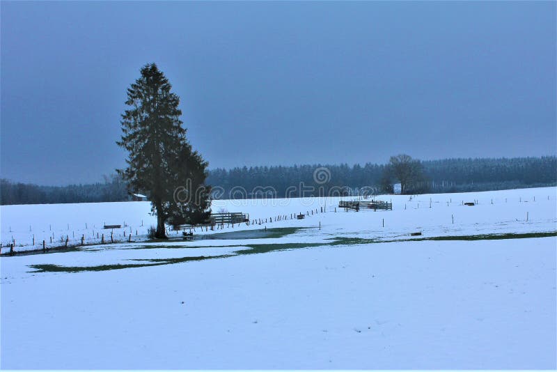 The Fields Covered by Snow in the Winter Time Stock Image - Image of ...