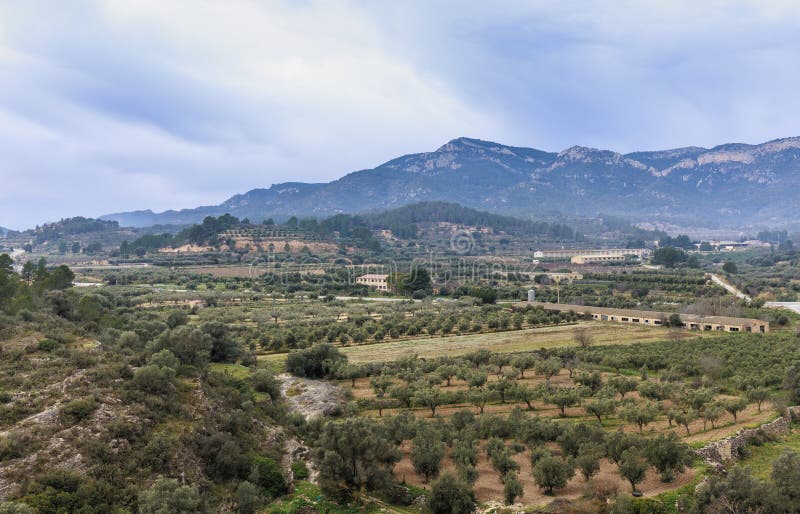 Fields of Crops and Olive Trees between Mountains Stock Photo - Image ...