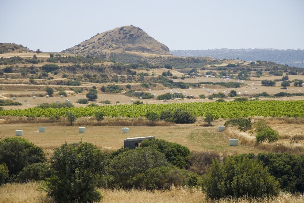 Fields of Cyprus stock image. Image of cyprus, fields - 22428783