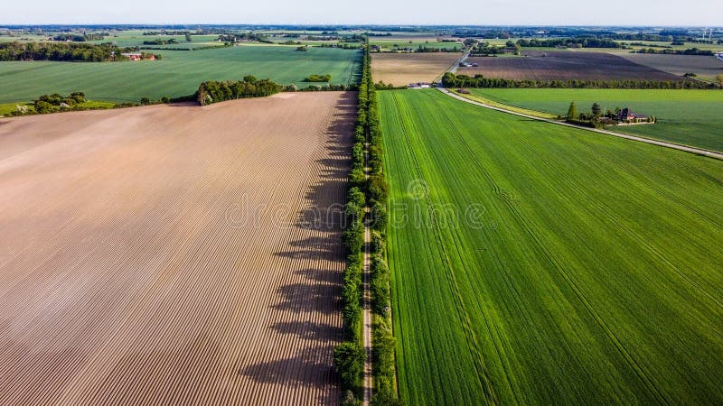 Fields in Denmark stock photo. Image of green, horizon - 185618480