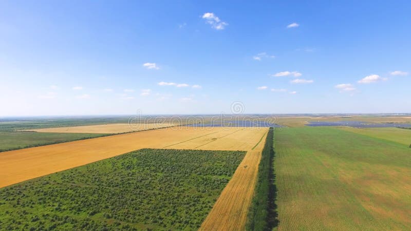 Fields with Different Crop Types, Aerial Video Stock Video - Video of ...