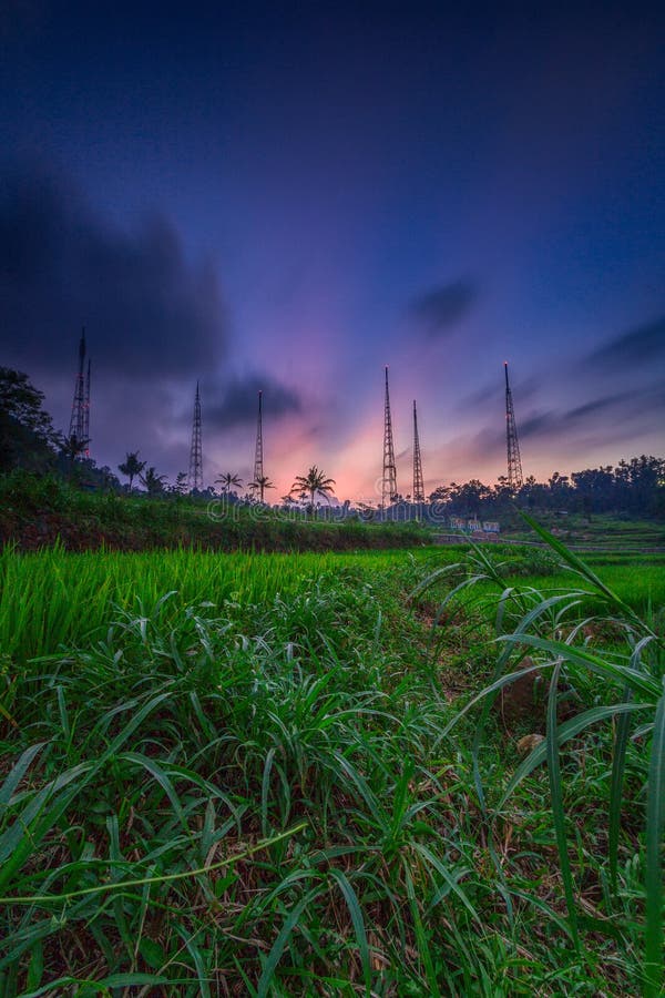 The Fields and the Dim Evening Sky Stock Photo - Image of sunset ...