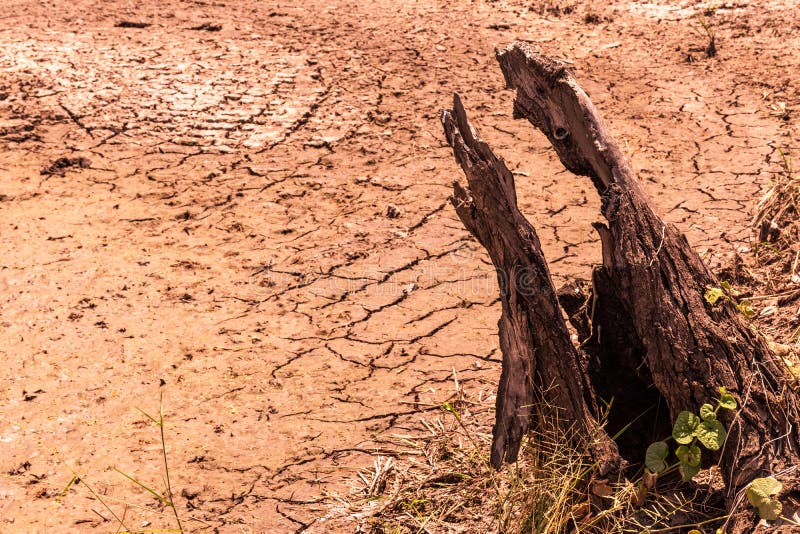 The Fields are Dry, the Land is Broken Stock Image - Image of global ...