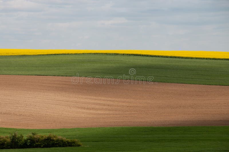 Fields in Early Spring with Different Colours Stock Photo - Image of ...