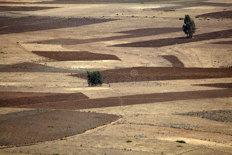 Fields in East Africa stock photo. Image of ecology, mountain - 68447558