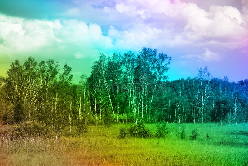 Fields and Painterly Groves in Rainbow Colors Stock Image - Image of ...