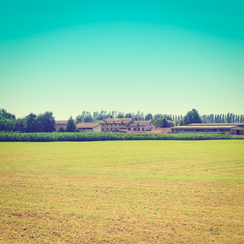 Fields stock photo. Image of corn, industrial, architecture - 43099284
