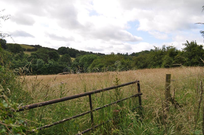 Fields stock image. Image of gate, field, fields, view - 125426227