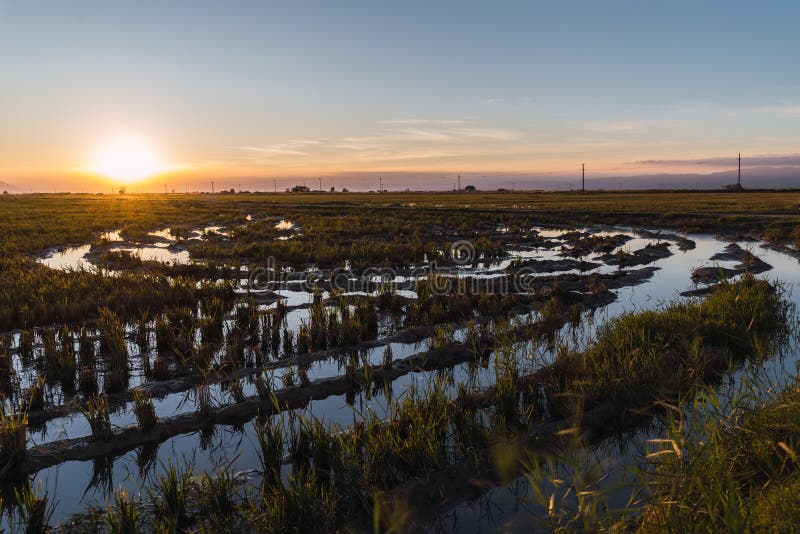 Fields Flooded with Water Forms of Spiral Shapes at Sunset Stock Photo ...