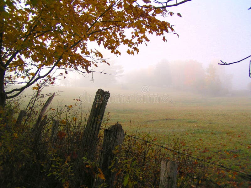 Fields in the fog stock photo. Image of autumn, field - 12751434