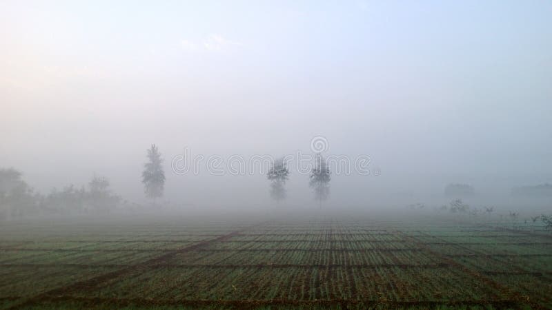 Fields in the fog stock image. Image of silhouette, weather - 34438885