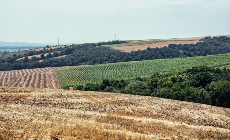 Cultivated Agricultural Land Stock Photo - Image of field, farm: 88181046